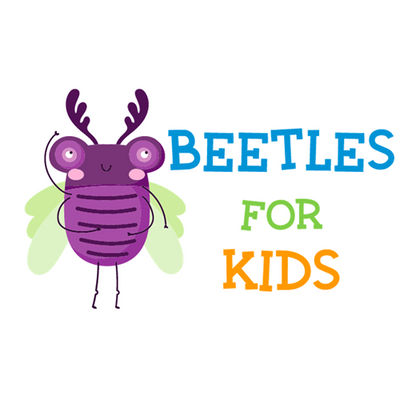 Care Guide: Phalacrognathus Muelleri (Rainbow Stag Beetle, King Stag B ...