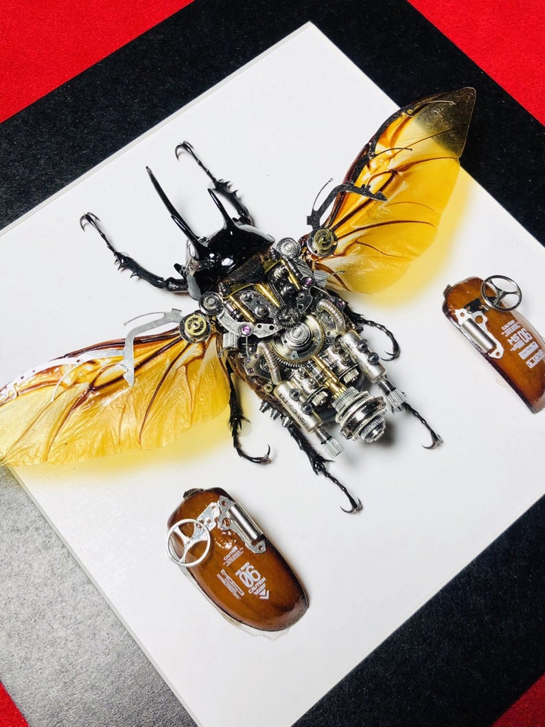 Steampunk Beetles Insect Machine Sculpture Decor Eupatorus Gracilicorn ...