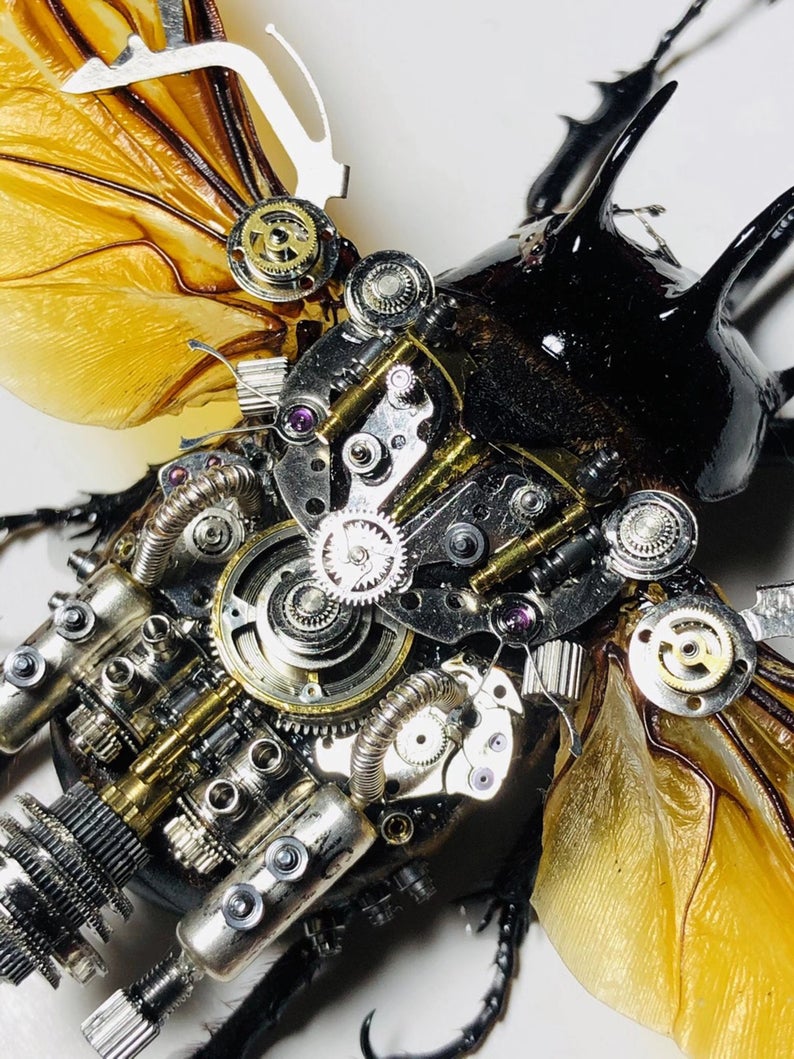 Steampunk Beetles Insect Machine Sculpture Decor Eupatorus Gracilicorn ...