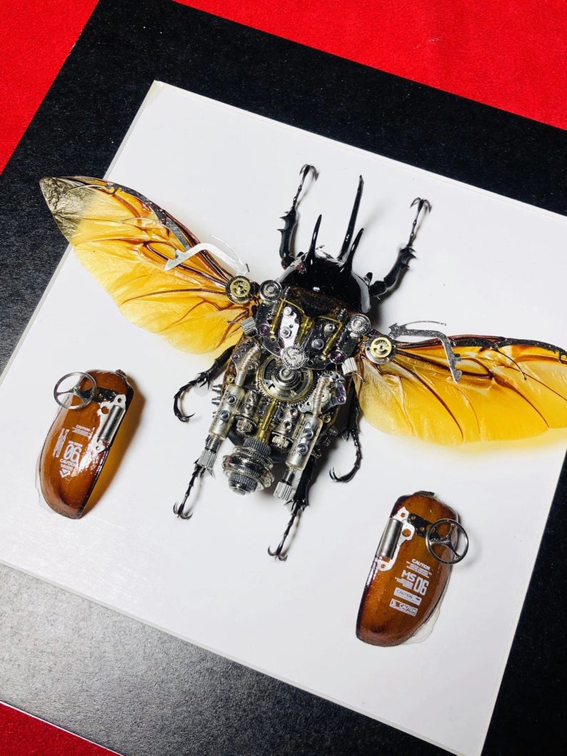 Steampunk Beetles Insect Machine Sculpture Decor Eupatorus Gracilicorn ...