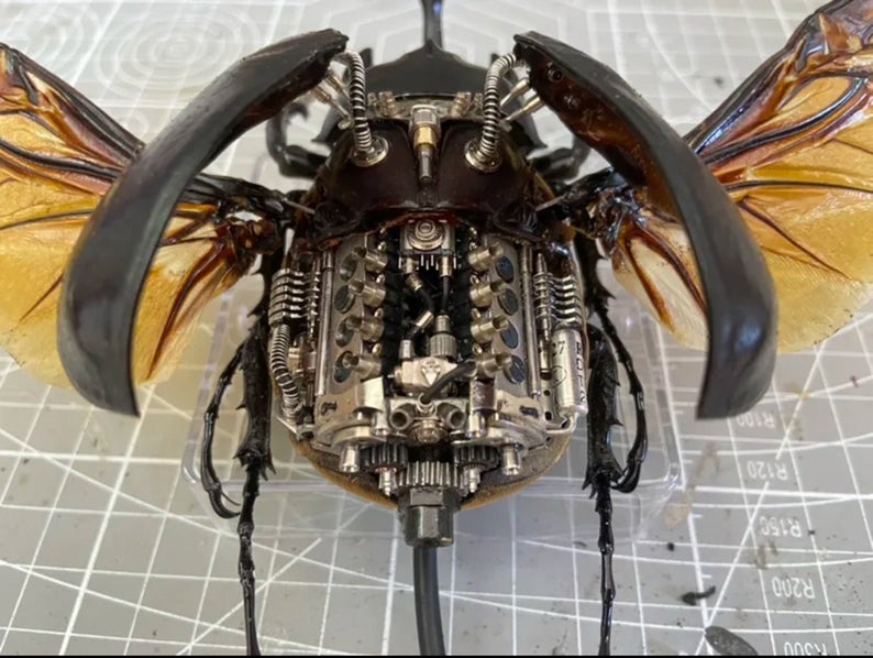 Steampunk Beetle